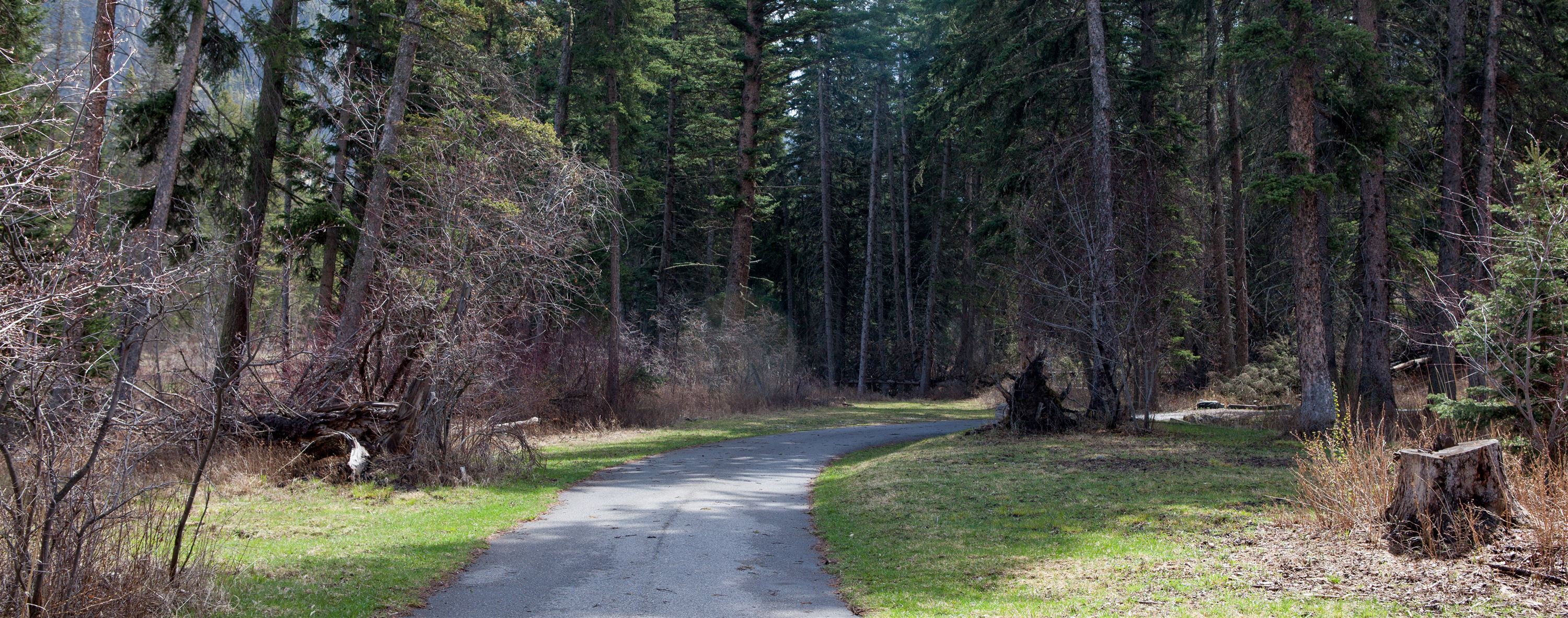Locations Hub - Luccock Park Camp