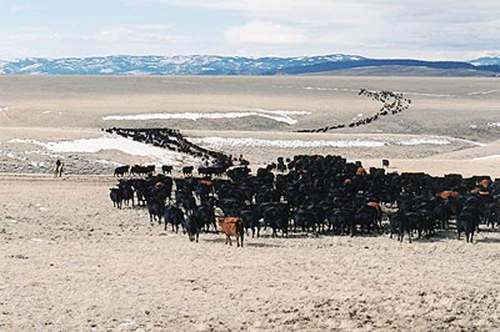 Locations Hub - Galt Ranch (Archival)