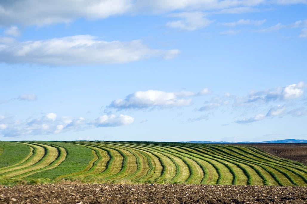 Locations Hub - Galt Ranch (Archival)