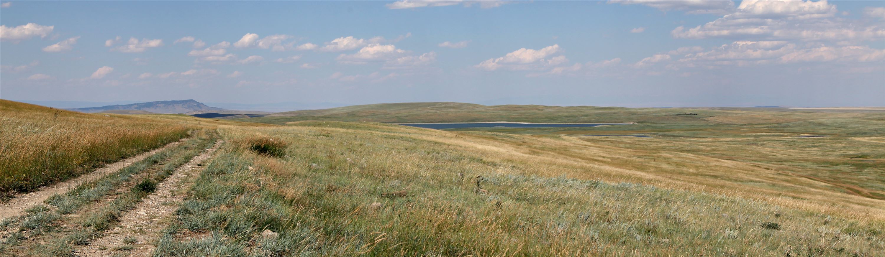 Locations Hub - Rein Anchor Ranch