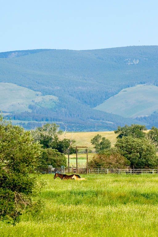 Locations Hub - Galt Ranch (Archival)