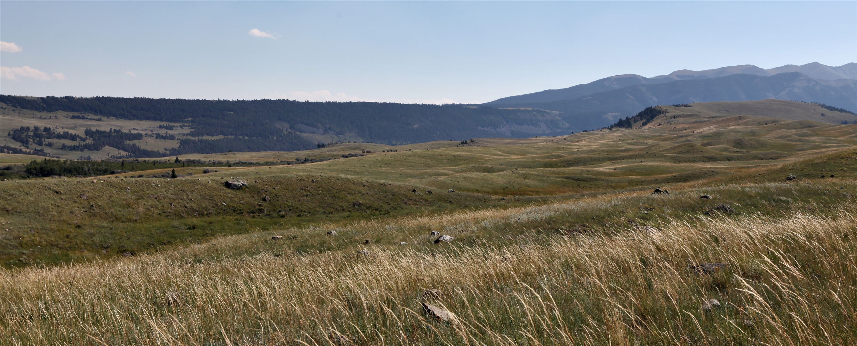 Locations Hub - Rein Anchor Ranch