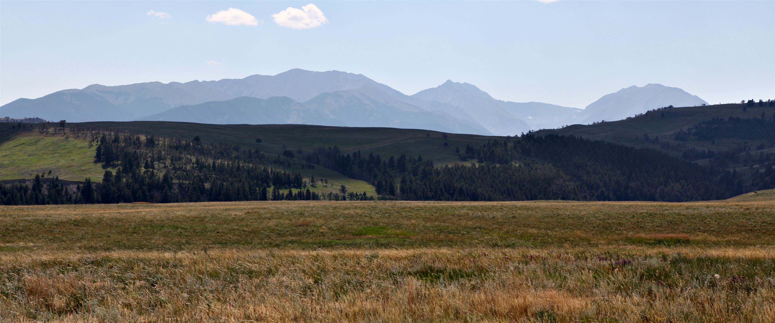 Locations Hub - Rein Anchor Ranch