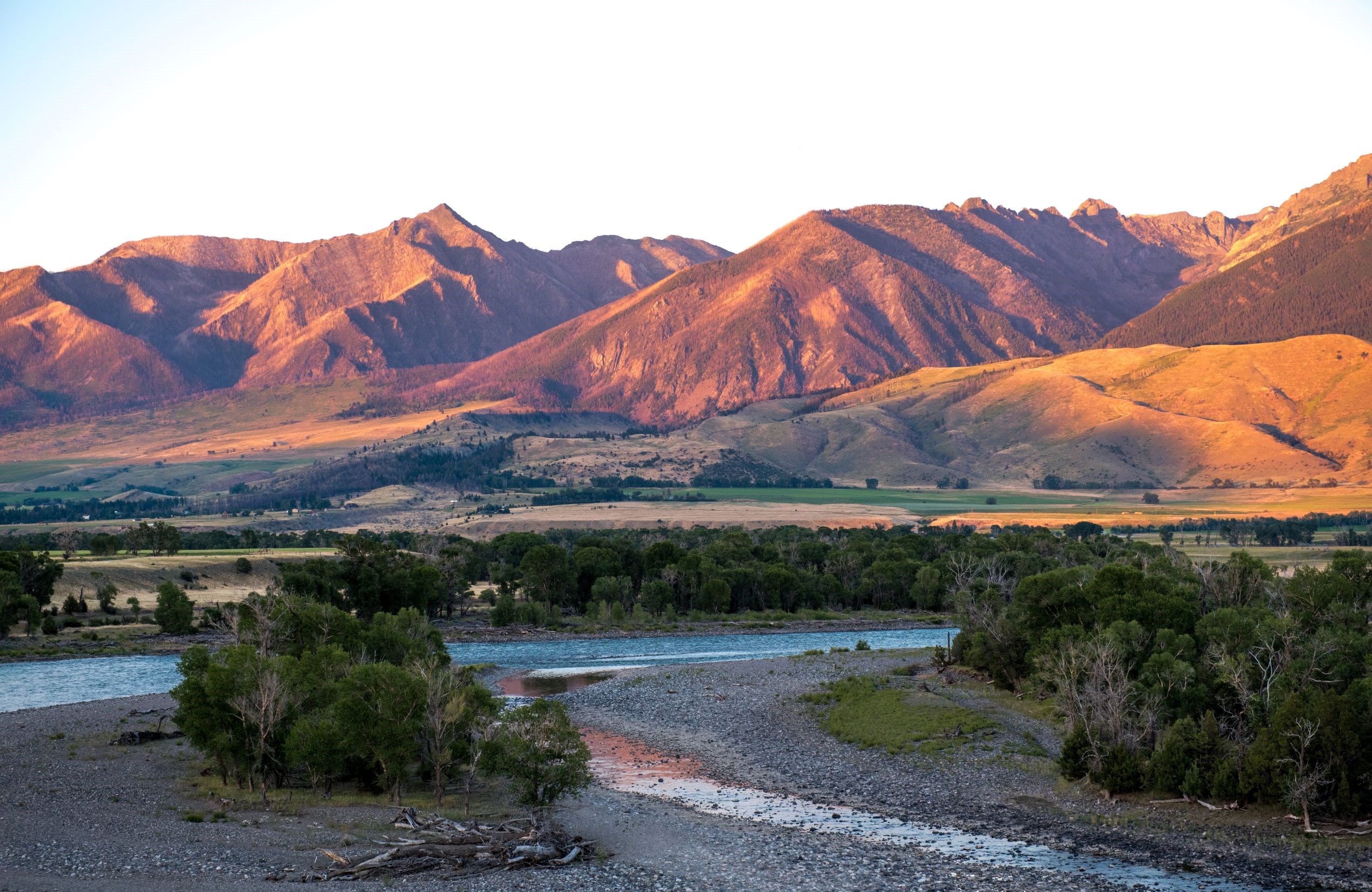 Locations Hub - Livingston