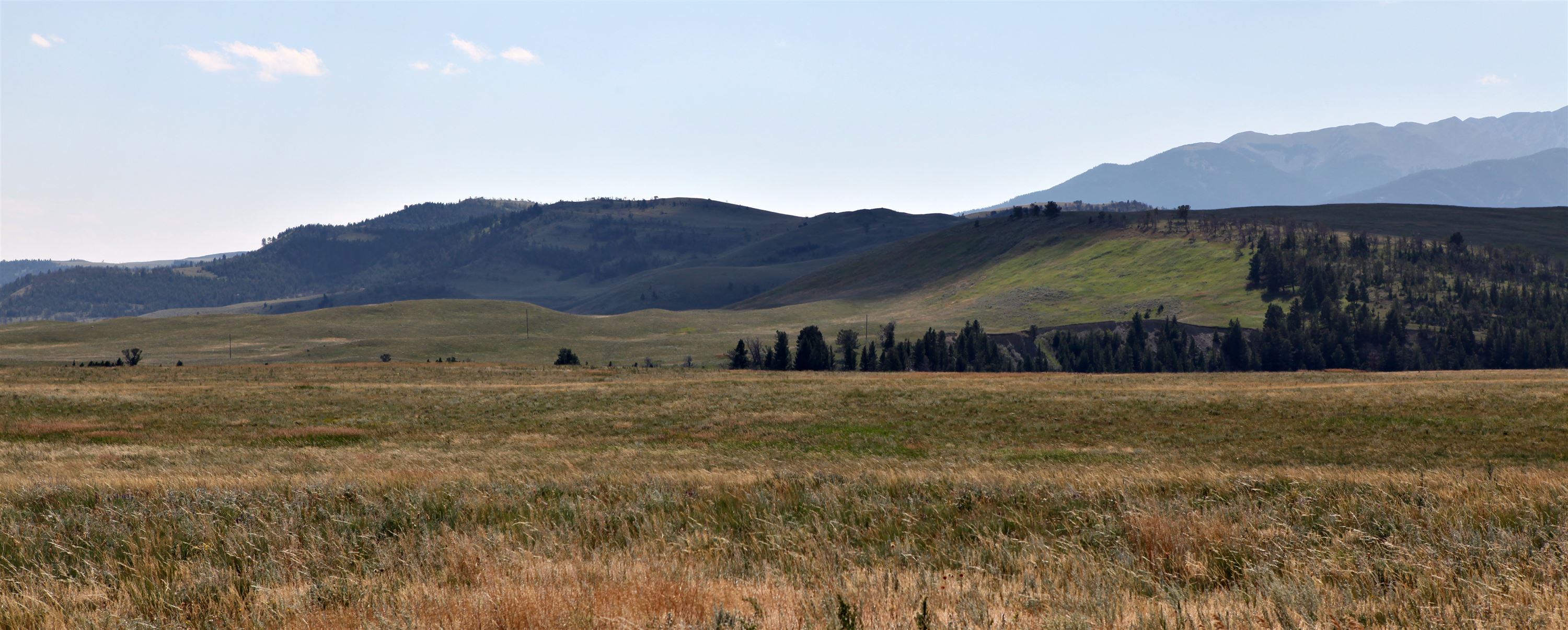 Locations Hub - Rein Anchor Ranch