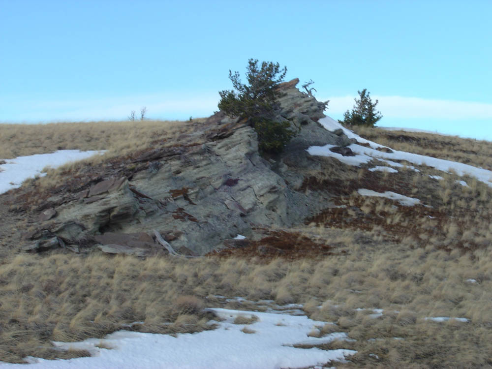 Locations Hub - Pine Butte Swamp Preserve