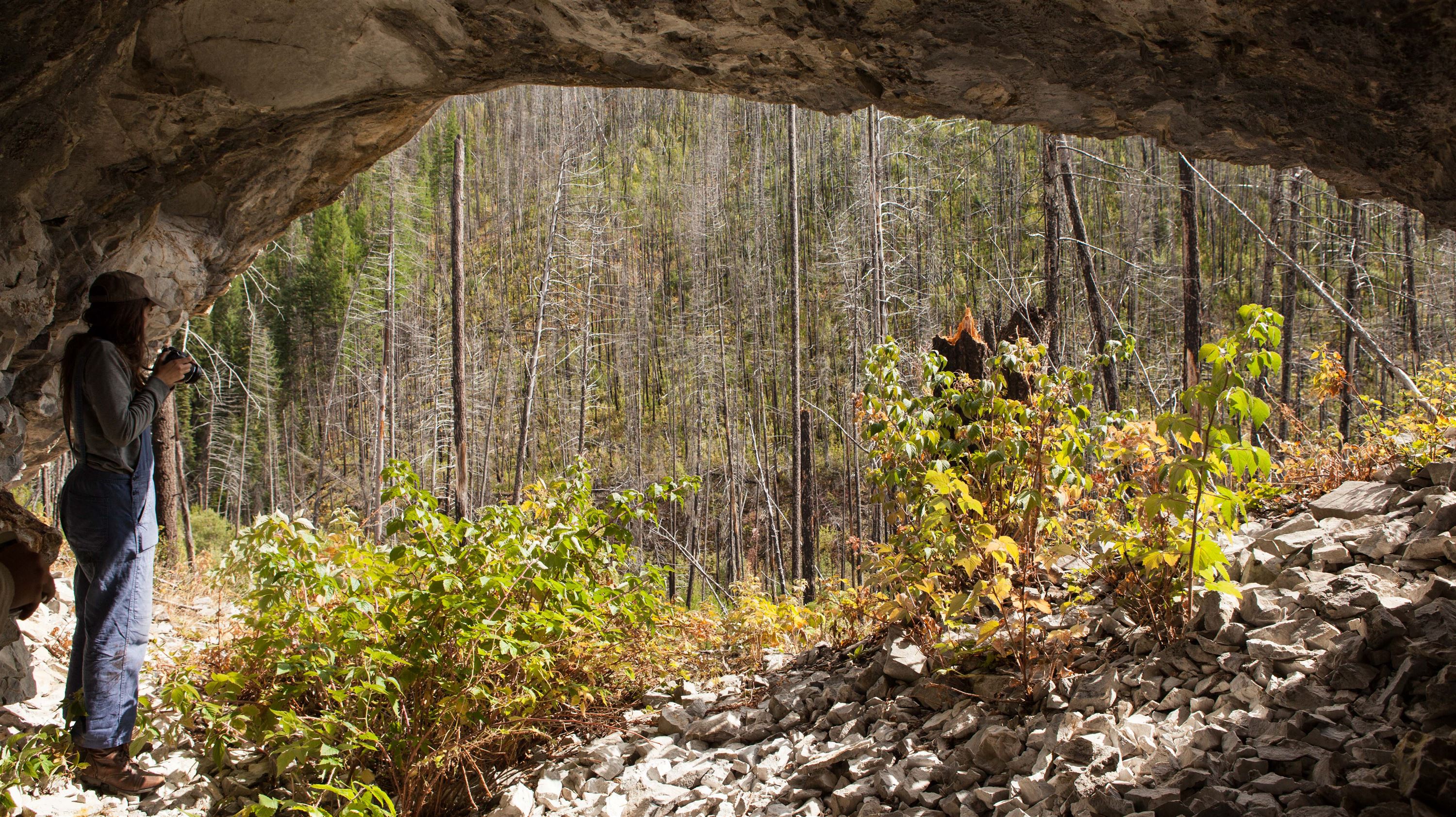 Locations Hub - Trail Creek Cave