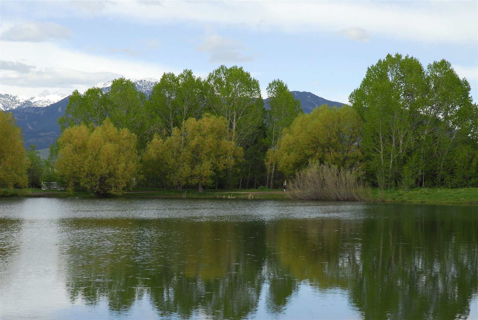 Locations Hub - Bozeman Pond Park