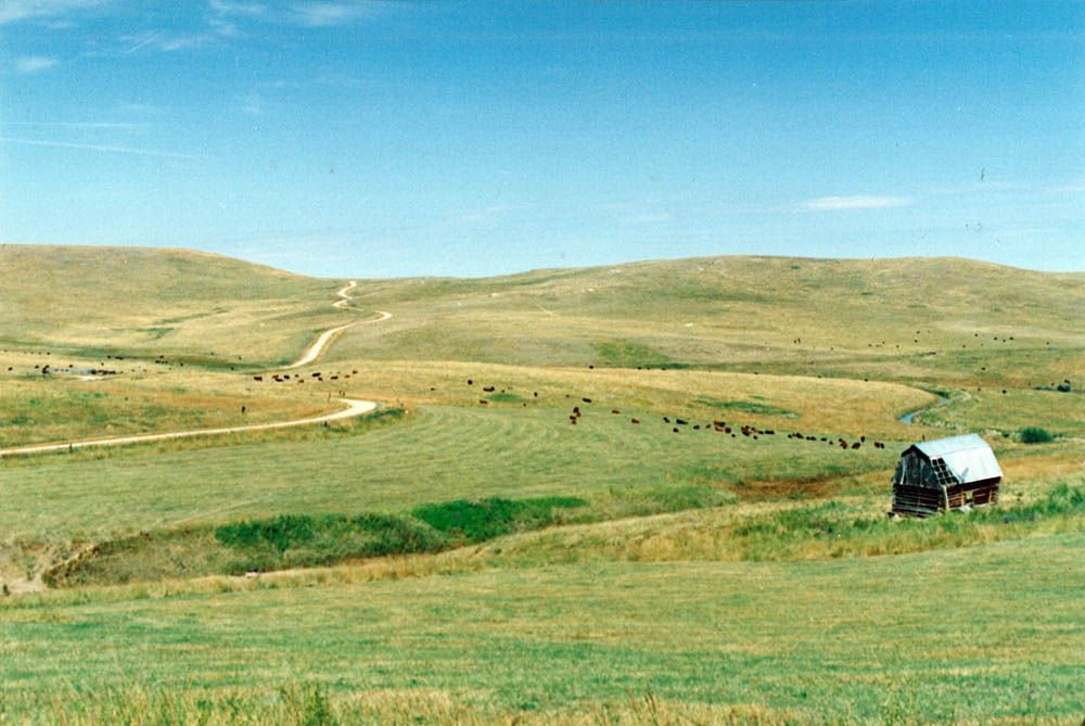 Locations Hub - Switchback Ranch