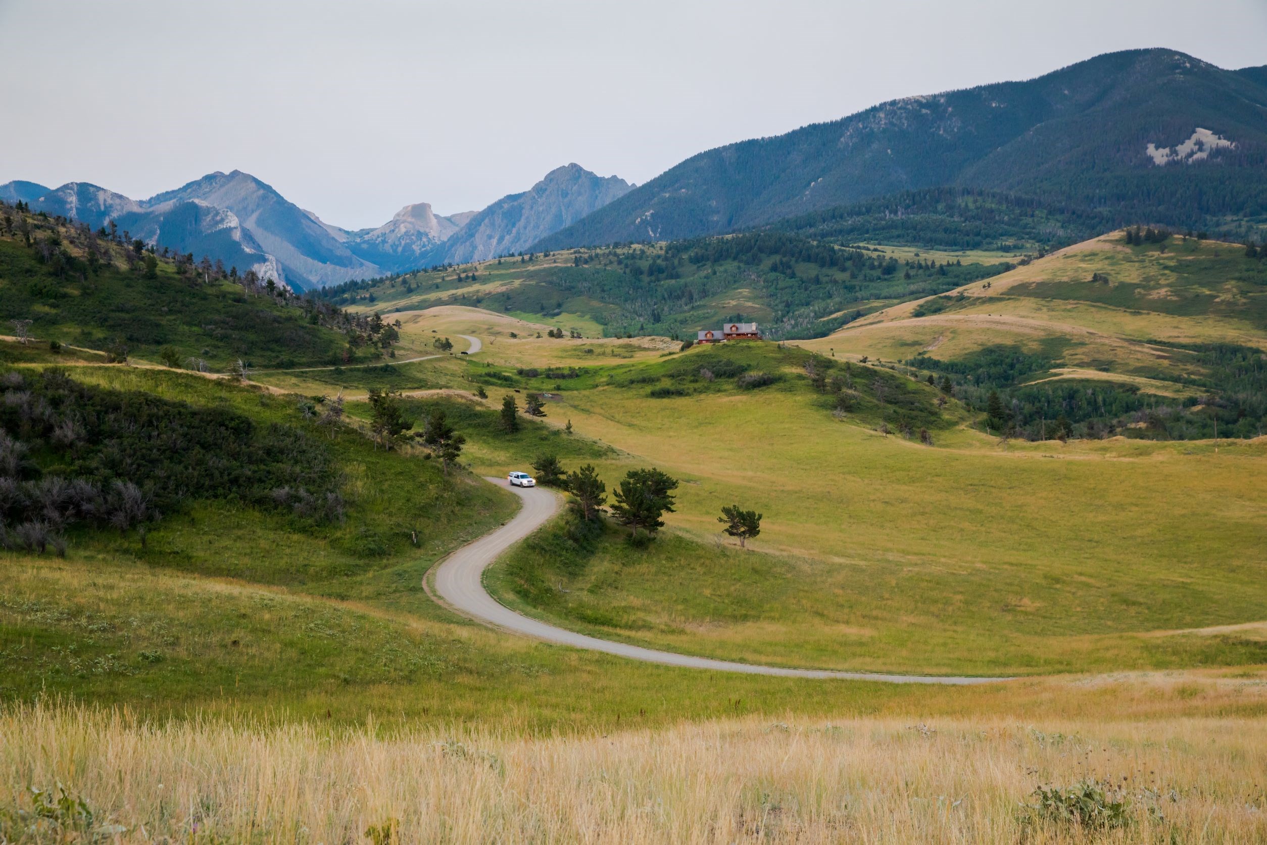 Locations Hub - Livingston