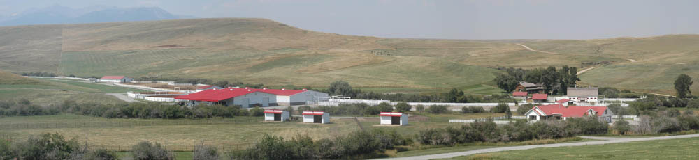 Locations Hub - Switchback Ranch