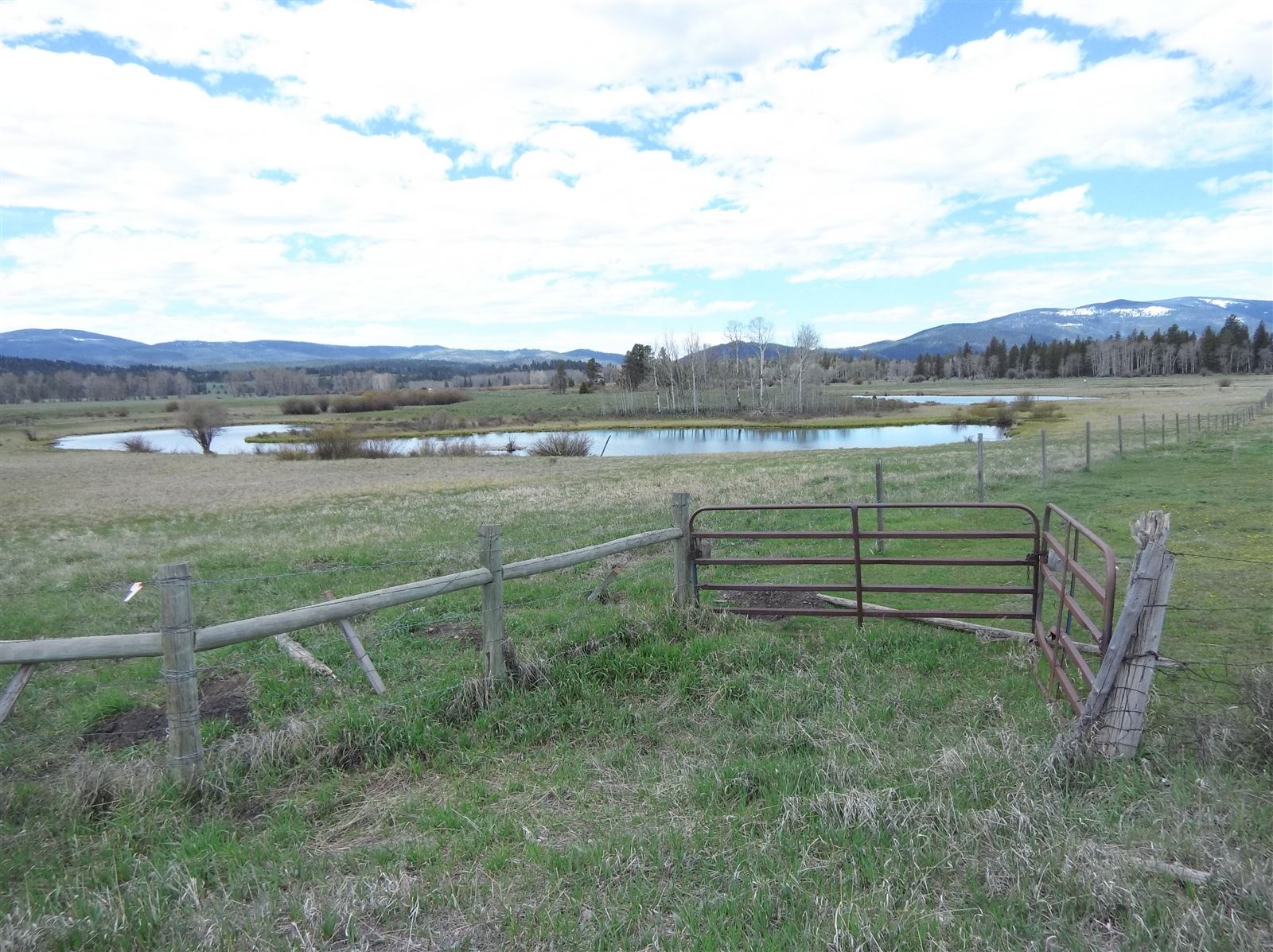 Locations Hub - Stemple Pass Road (Town to Kaczynski's Camp)